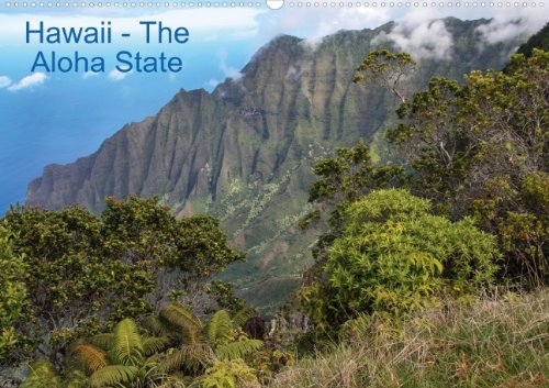 Hawaii the Aloha State Wall Calendar : Haberstock Matthias: Amazon.in ...