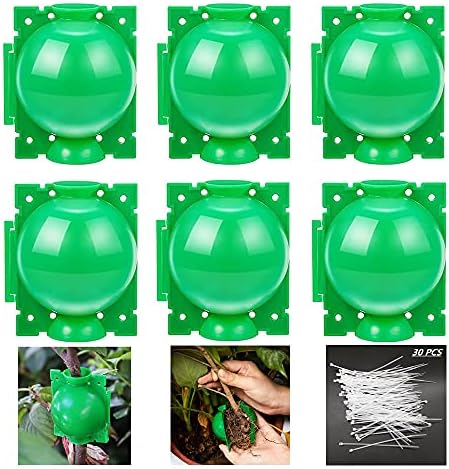Amazon.com : Plant Root Growing Box 20 PCS, Reusable Rooting Ball for ...