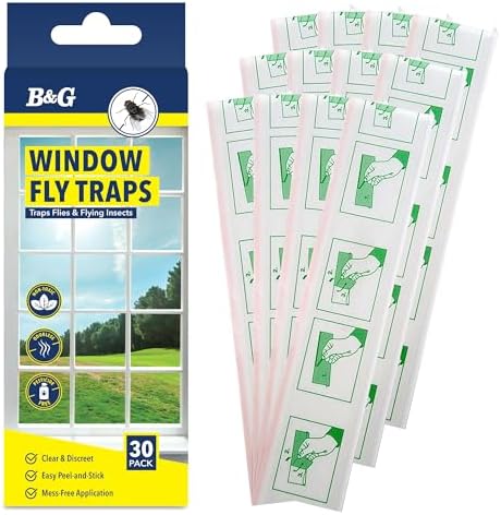 Amazon.com : Landisun Fly Trap Indoor Fruit Windows Paper Glue Sticky ...