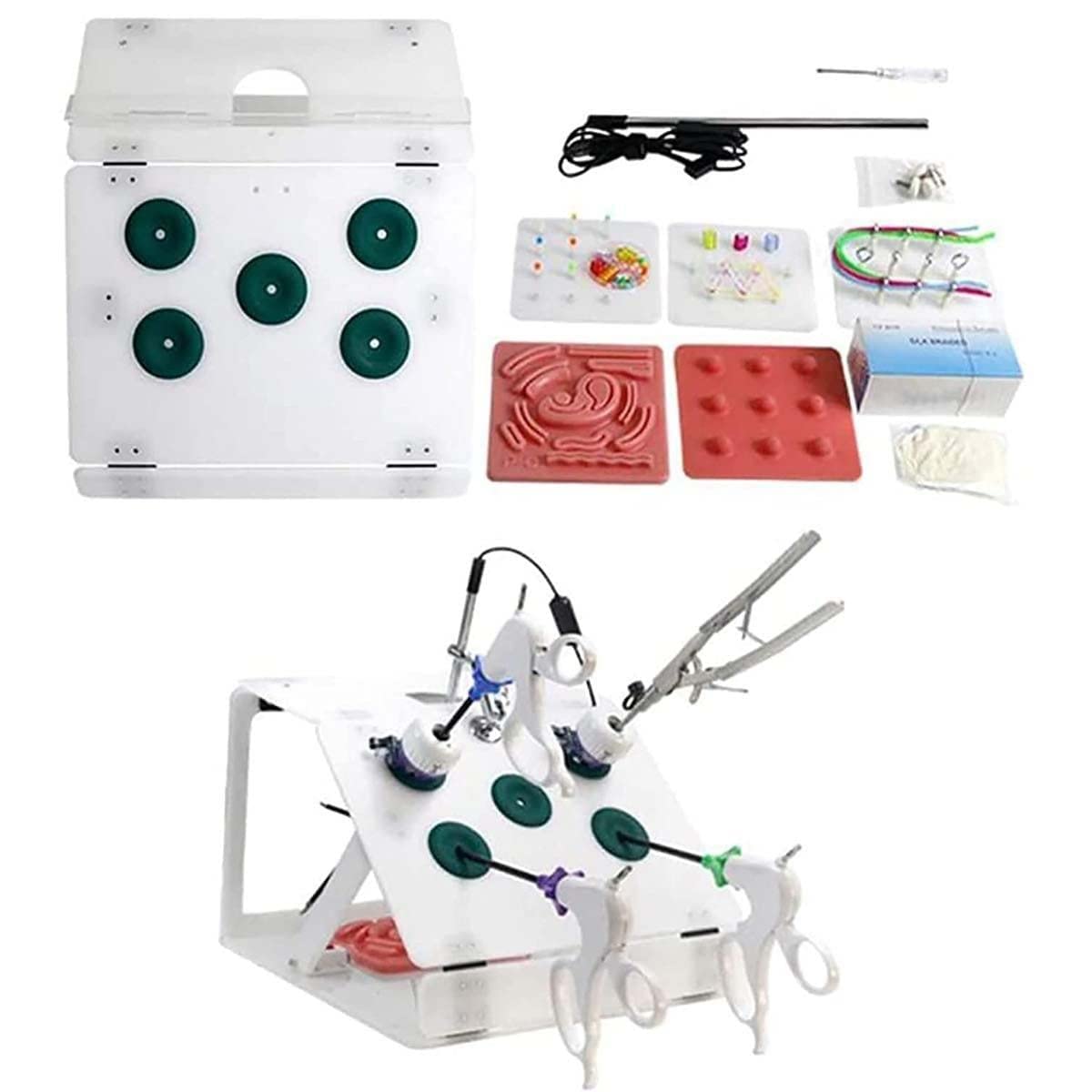 Buy Laparoscopic Trainer Simulator Box with 4 Surgical Instruments with ...