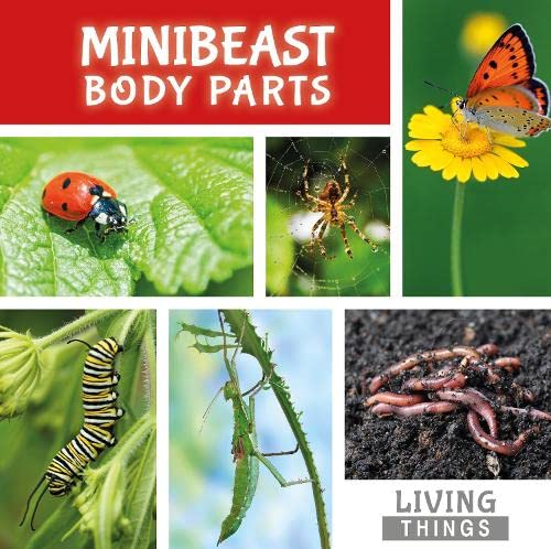 Minibeast Body Parts (Living Things): 9781786370785: Amazon.com: Books