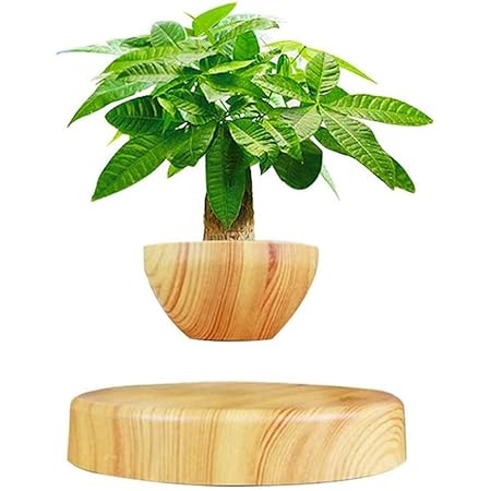 Amazon.com: FLYTE Lyfe Magnetic Floating Levitating Plant Pot for ...