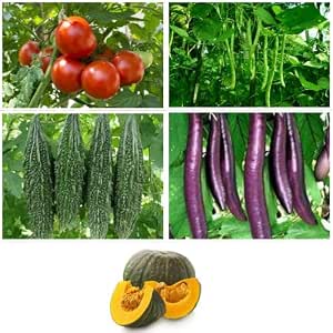 LiveNature Tomato | Beans | Bitter Gourd/Karela/Karli | Long Brinjal ...