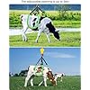 Amazon.com: QWORK Cow Hip Lift, Heavy-Duty Cattle Lifter - Steel Cow ...