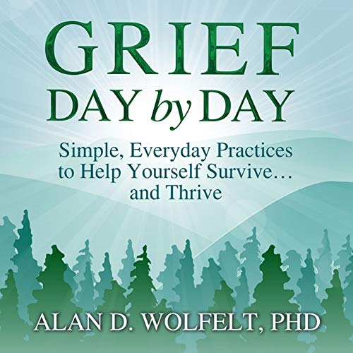 Grief Day by Day: Simple, Everyday Practices to Help Yourself Survive ...