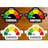 Amazon.com - Cortisol Meter Sticker Pack, 4 Pack, 3 Inch, Waterproof ...