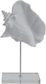 Amazon.com: Elements Decorative White Resin Conch Shell Figurine on ...