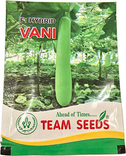 Team Seeds F-1 Hybrid Ghiya Bottle Gourd seeds - 10 gms : Amazon.in ...