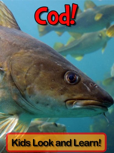 Cod! Learn About Cod and Enjoy Colorful Pictures - Look and Learn! (50 ...