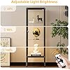 Amazon.com: Ryoko Glass Display Cabinet with LED Light, Adjustable 3 ...