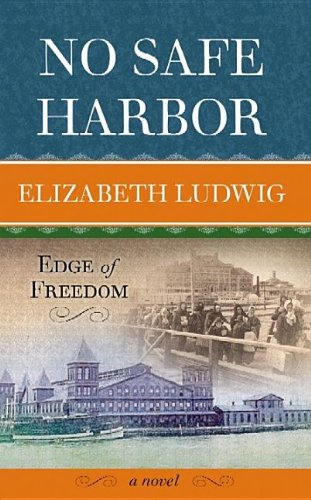 No Safe Harbor (Edge of Freedom): Ludwig, Elizabeth: 9781611735567 ...