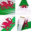 HOWAF Welsh Flag Bunting Decorations, Welsh Bunting banner, Wales Flag ...