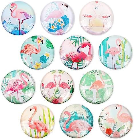 Amazon.com: Glass Strong Animals Refrigerator Magnets,12 Pcs Decorative ...
