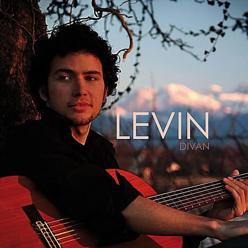 Divan : Levin: Amazon.es: Libros