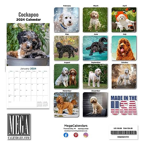 Snapklik.com : Cockapoo Calendar 2024 - Dog Breed Wall Calendar