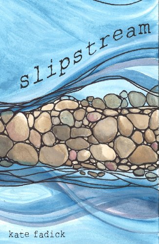 Slipstream: Kate Fadick: 9781622292417: Amazon.com: Books