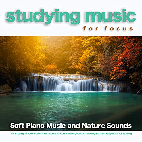 Play Studying Music For Focus: Soft Piano Music and Nature Sounds For ...