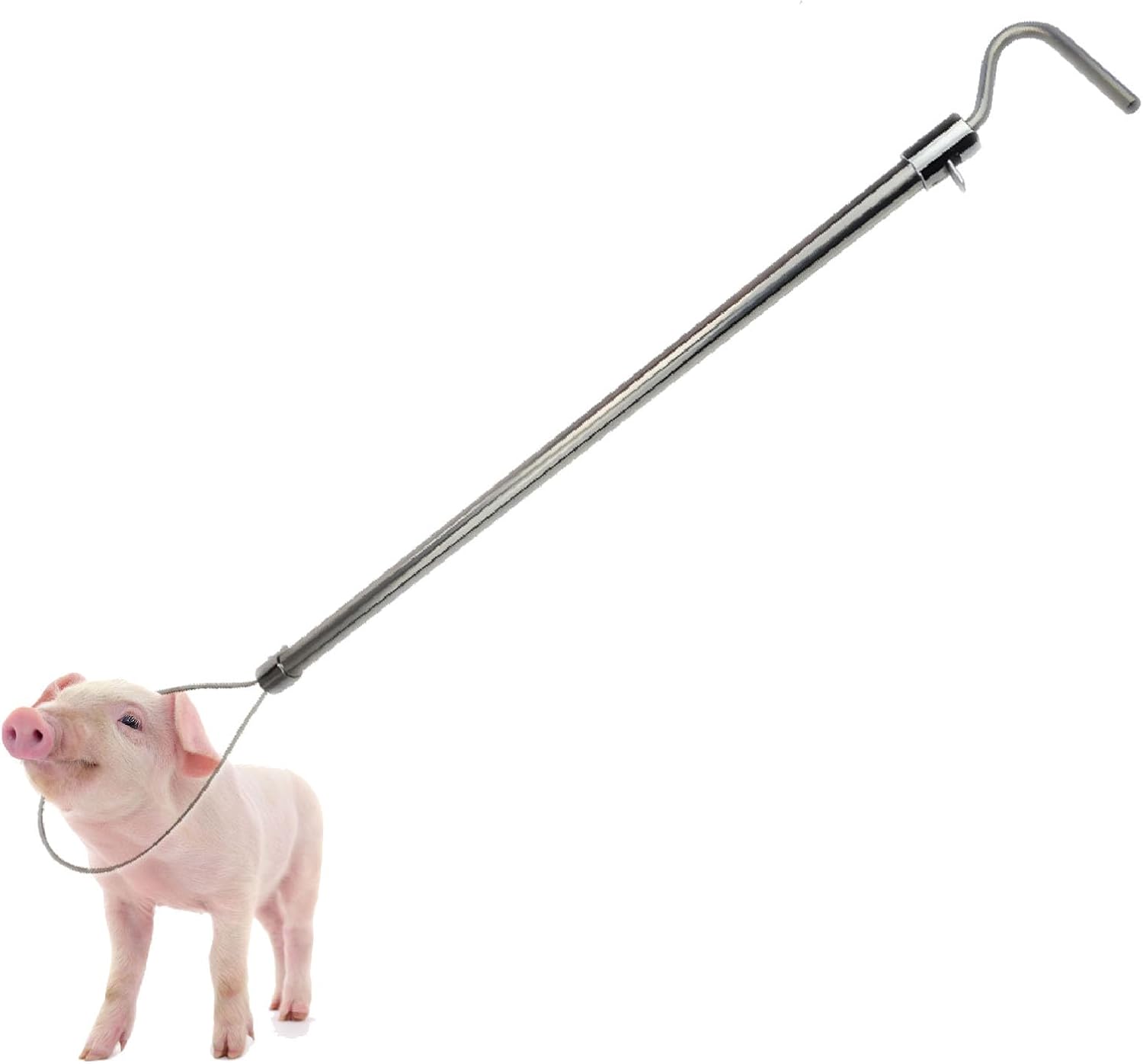 Amazon.com: Aiupuyer Pig Dog Catcher Pole, Animal Catch Pole Stainless ...