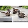 Amazon.com : Gift Craft 3.2-Inch Cast Iron Bird Design Figurines, Small ...