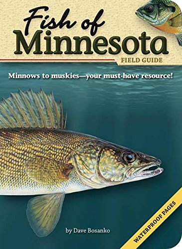 Fish of Minnesota Field Guide (Fish Identification Guides): Bosanko ...