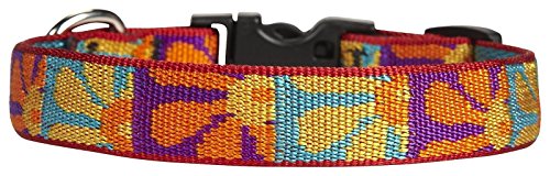 Lupine Dog Collars – The 15 best products compared - Wild Explained