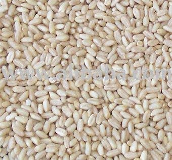 Amazon.com : PEARLED SOFT WHEAT- 22lb : Grocery & Gourmet Food
