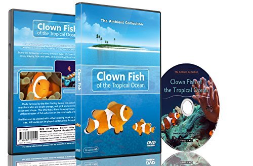 Amazon.com: Tropical Fish DVD - Clown Fish of the Tropical Ocean : The ...