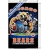 Amazon.com: Trends International NFL Chicago Bears - End Zone 17 Wall ...
