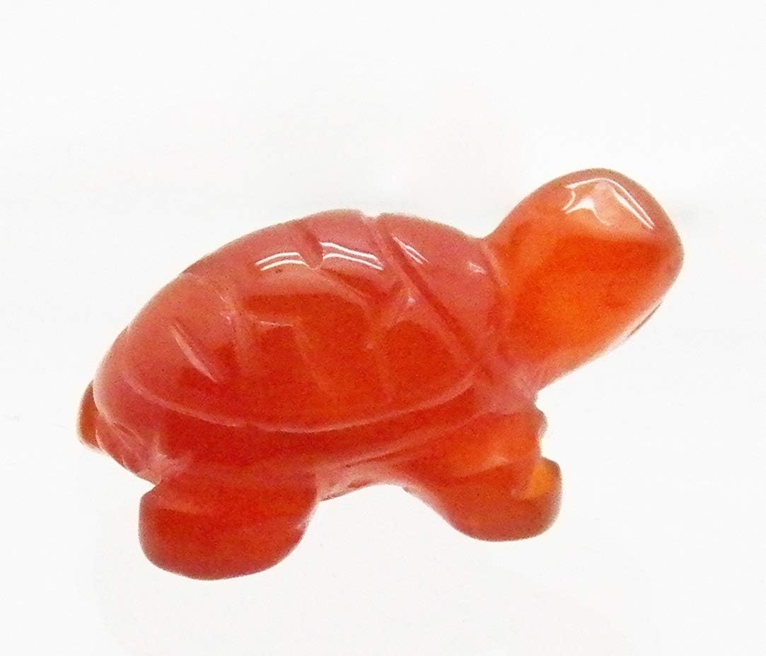 Amazon.com: Fundamental Rockhound Products: 1" Hand Carved Turtle ...