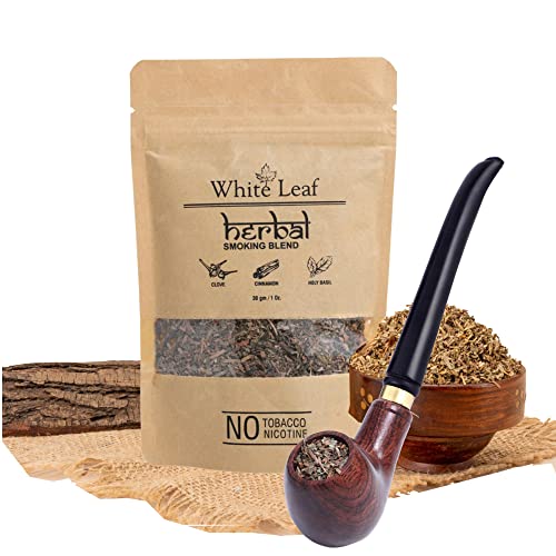 amazon.ae Best Sellers: The best items in Smoking Cessation Products ...