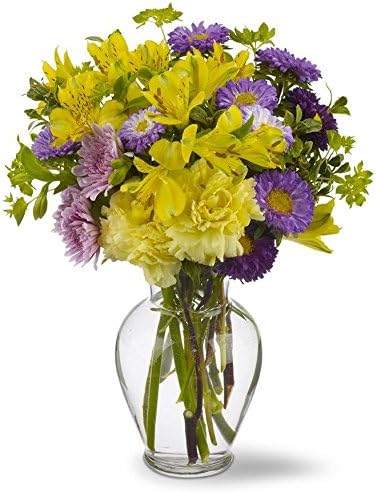 Amazon.com : Teleflora Celebration Time - Premium Flower Arangement ...