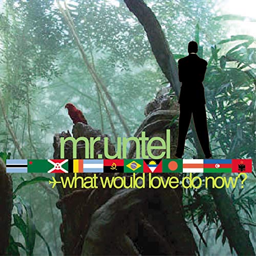 Play Amazing (What Would Love Do Now?) by Mr. Untel on Amazon Music
