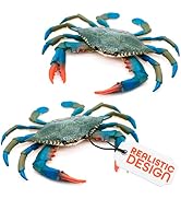 Amazon.com: 2Pcs Artificial Realistic Crab Toy - Educational Learning ...