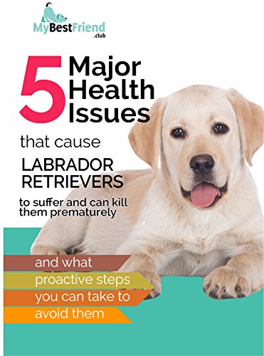 What Health Problems Do Labrador Have
