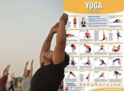 Yoga - Asana Poster/Chart Laminated; Yoga Poster, Yoga Chart, - Want It All