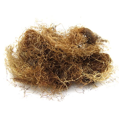 Amazon.com : Herb: Corn Silk (Corn Mustache) 2oz / South Korea Imported ...