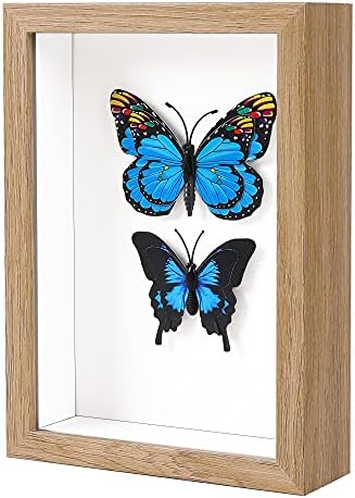 Amazon.com - Artibetter 8x6 Display Frame Shadowbox Display Case Wooden ...