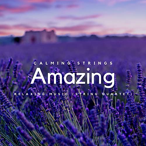 Amazing Relaxing Music (String Quartet) de Calming Strings no Amazon ...