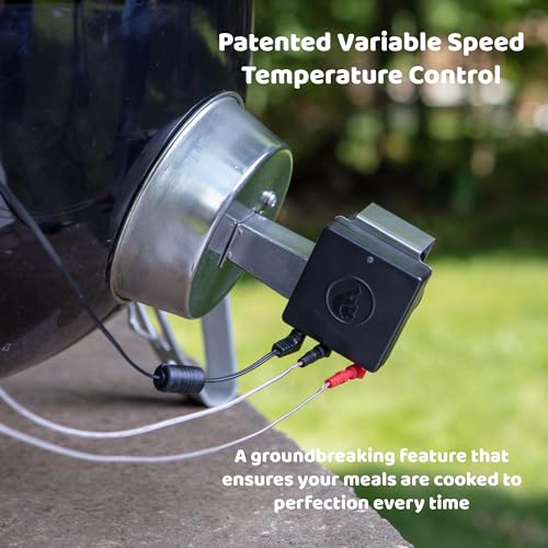 8 Best Automatic Barbecue Temperature Controllers of 2024