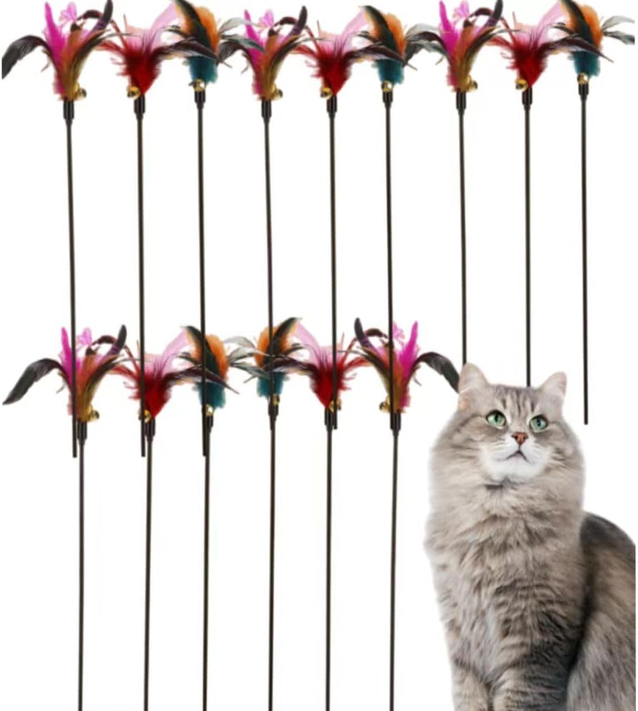 Amazon.com : Nine Mpets 15-Pack Cat Feather Toys and Teaser Wand ...