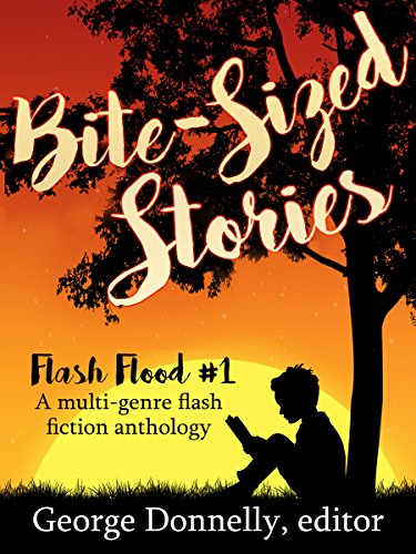 Bite-Sized Stories: A Multi-Genre Flash Fiction Anthology (Flash Flood ...
