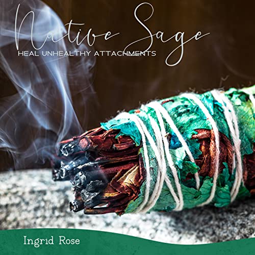 Amazon.com: Native Sage: Native American Flute Meditation to Heal ...
