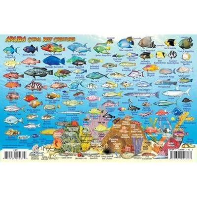 Buy Aruba Dive Map and Reef Creatures Guide at Ubuy Philippines