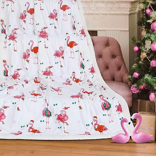 Amazon.com: CYREKUD Flamingo Blanket Throw,Flamingo Gifts for Women ...