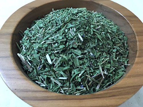 Amazon.com : Organic Hyssop Dried ~ 1 Ounce Bag ~ Hyssopus officinalis ...