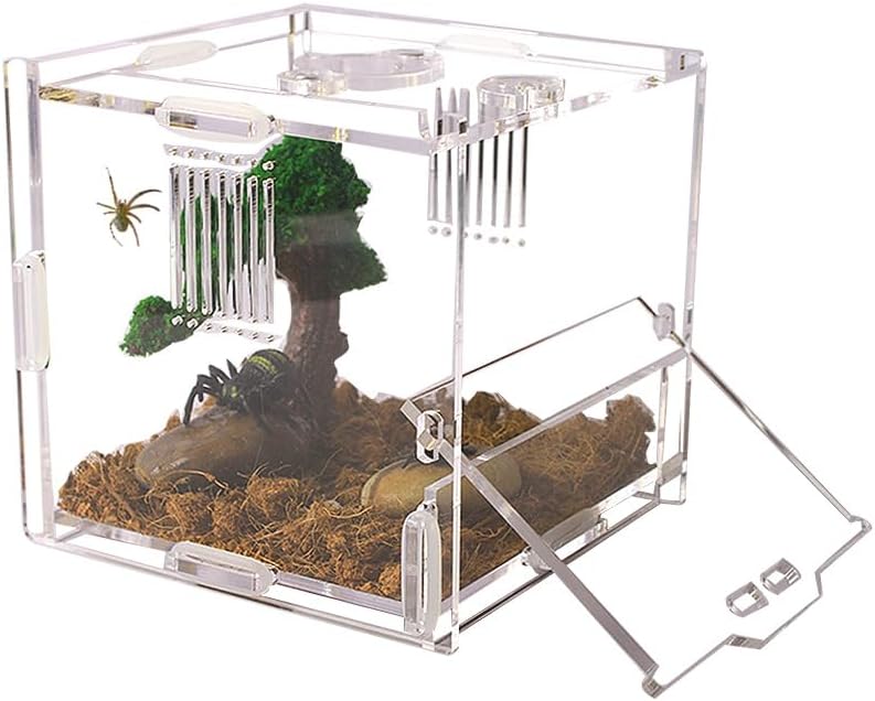 Amazon.com : Jumping Spider Enclosure, 4" X4 X8 Tarantula Enclosure ...