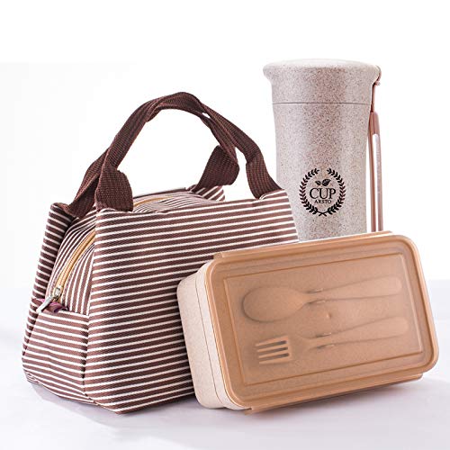 Buy Shivaaro 2 Compartment 1150 ML Bento Lunch Boxes with 500 ML Water ...