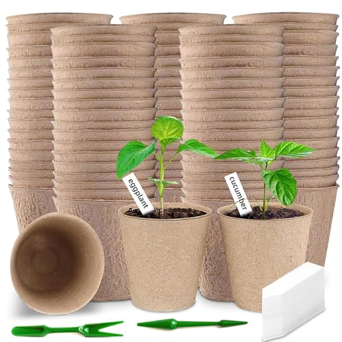 Macetas biodegradables: la opción eco-friendly para tus plantas y el ...