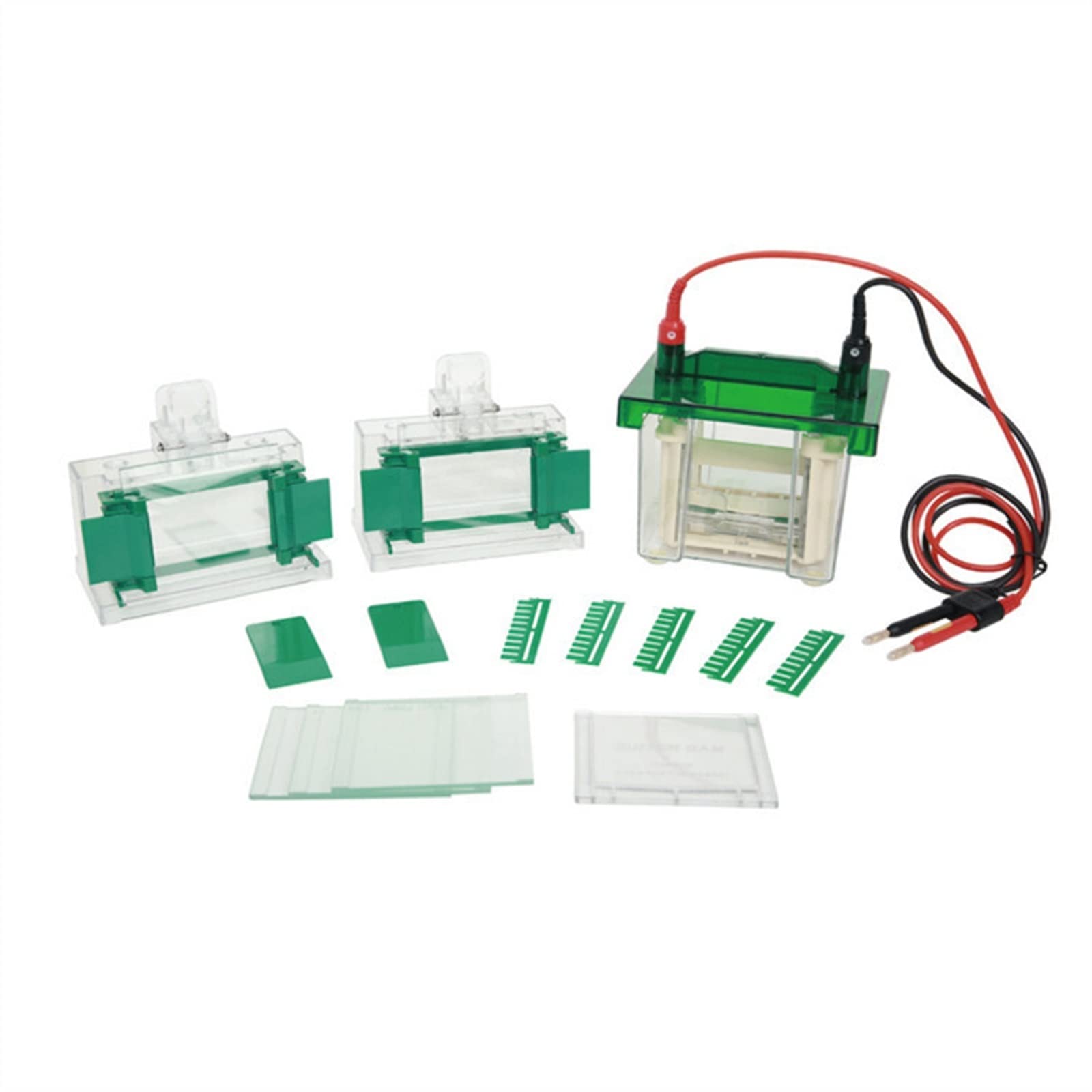 Wytrol Electrophoresis Lf Mini3 Small Vertical Electrophoresis Tank ...