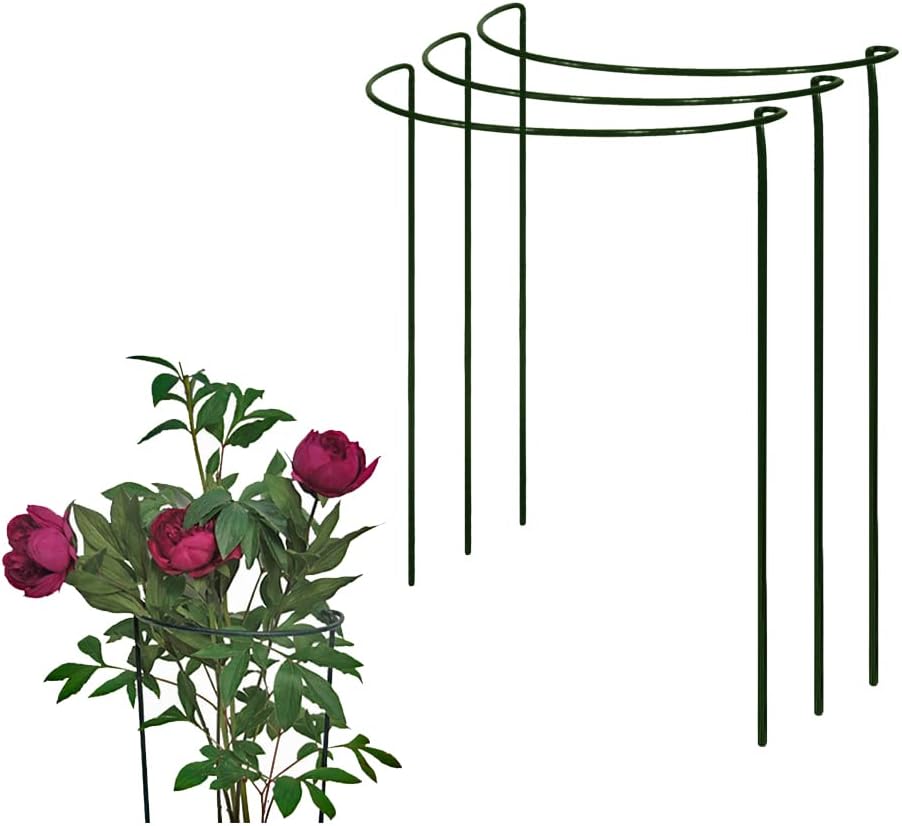 Metal Plant Supports Loop Stakes 5 pack 80cm, 100cm or 130cm tall ...